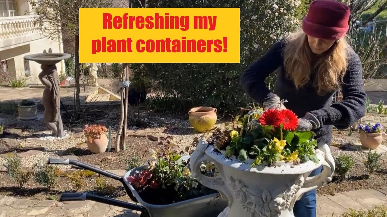 Refreshing my plant containers for the spring! - YouTube