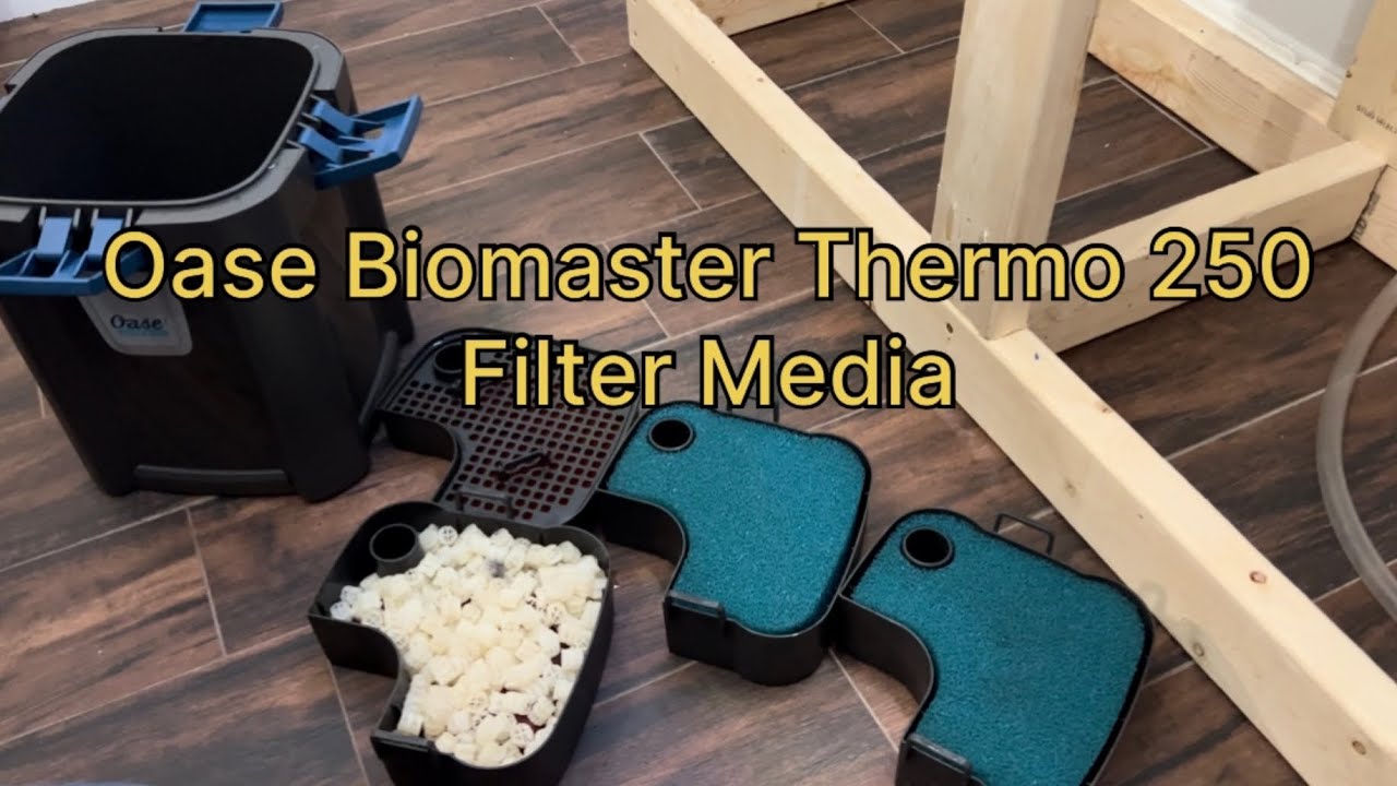 Oase Biomaster Thermo 250 Filter Media - Episode 2 #canisterfilter # ...