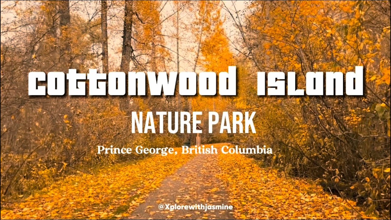 Cottonwood Island Nature Park II Prince George Ii British Columbia # ...