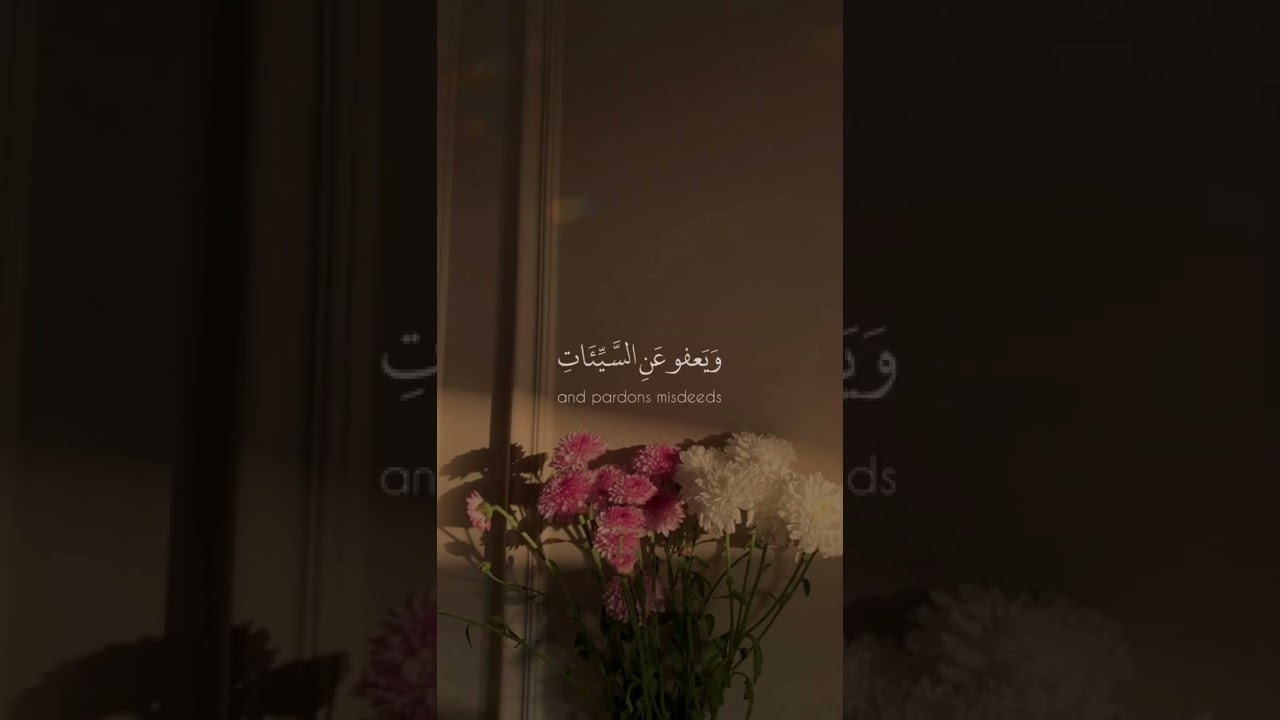 Recitation of the day||Qur'an Recitation ♥️ - YouTube