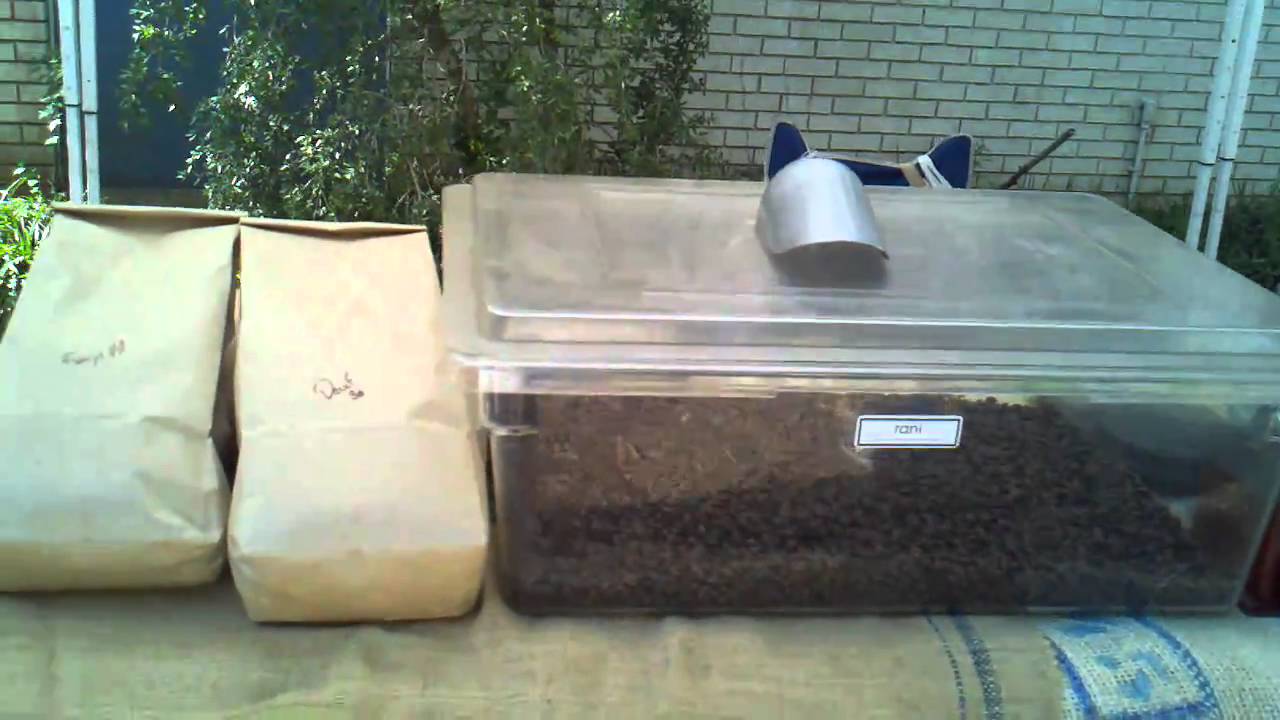 Coast Roast booth at the covington farmer's market - YouTube