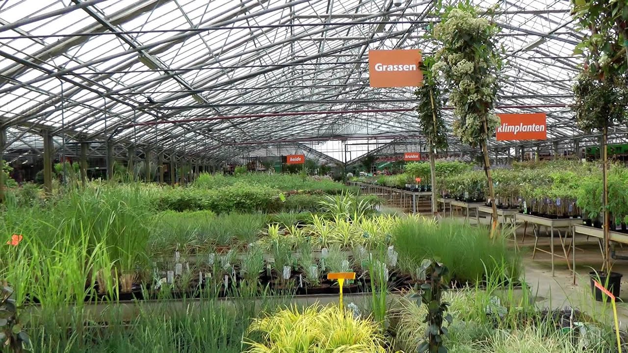 Tuincentrum Het Oosten is groot in tuinplanten - YouTube