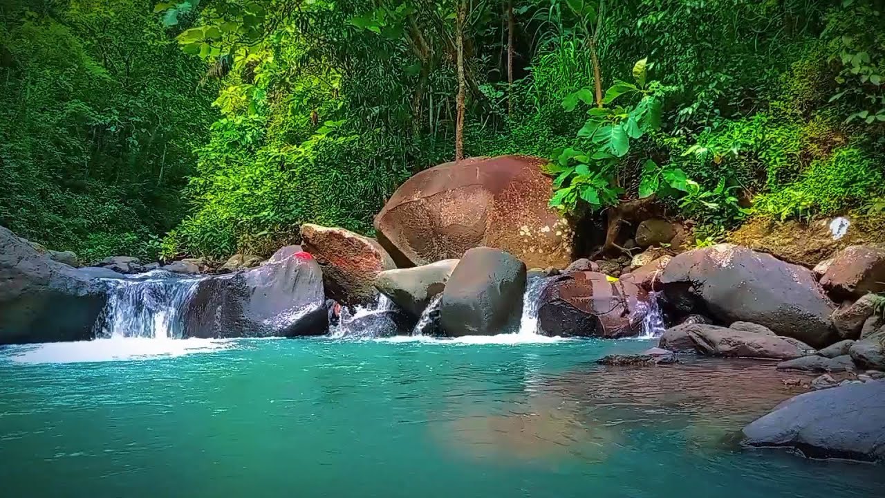 Peaceful Nature Escape Birdsongs, Gentle River Flow, and Soft Melodic Music - YouTube