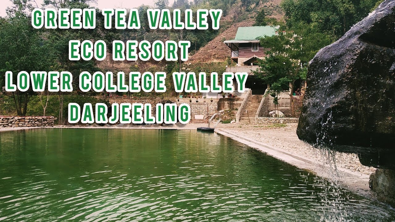 Green tea valley eco resort|Lower college valley|Darjeeling - YouTube