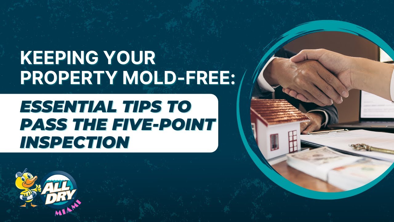 keeping your property mold free: essential tips to pass the five point ...