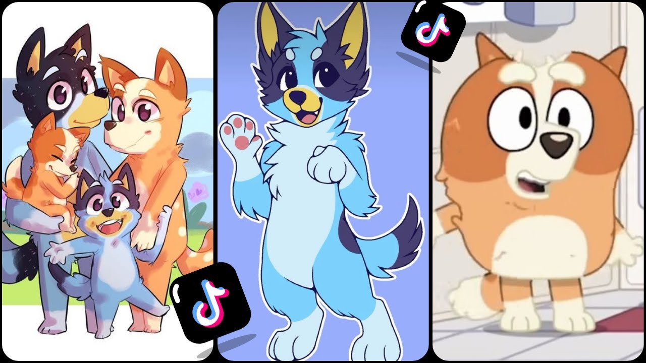 Bluey TikToks - Best Tiktok Compilation 2024 - YouTube