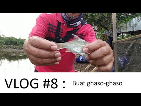 VLOG #8 | Mancing Back2Back - YouTube