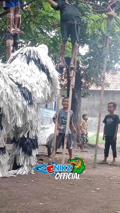 Can macanan gigit kaki Jangkungan - YouTube