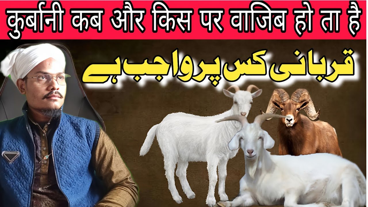 Qurbani kis per wajib hai || कुर्बानी वाजिब कब होता है.. Juned Raza Razvi - YouTube