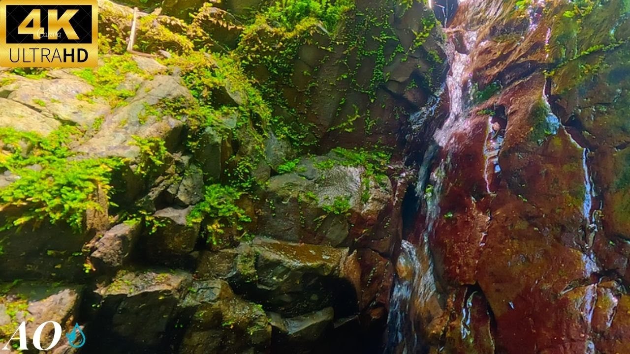 Forest spring(4)｜Waterfall｜Healing water sounds｜Forest sounds｜Sound of ...