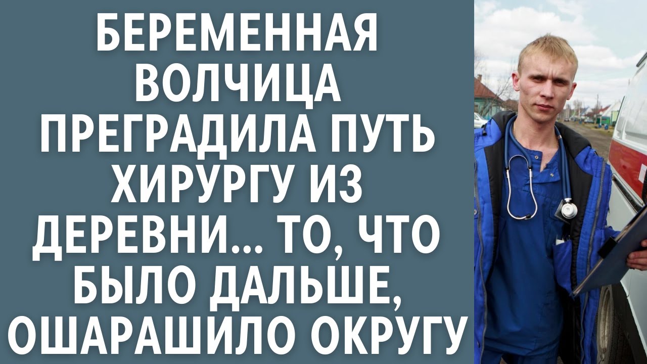 Беременная волчица преградила путь хирургу из деревни… От того что