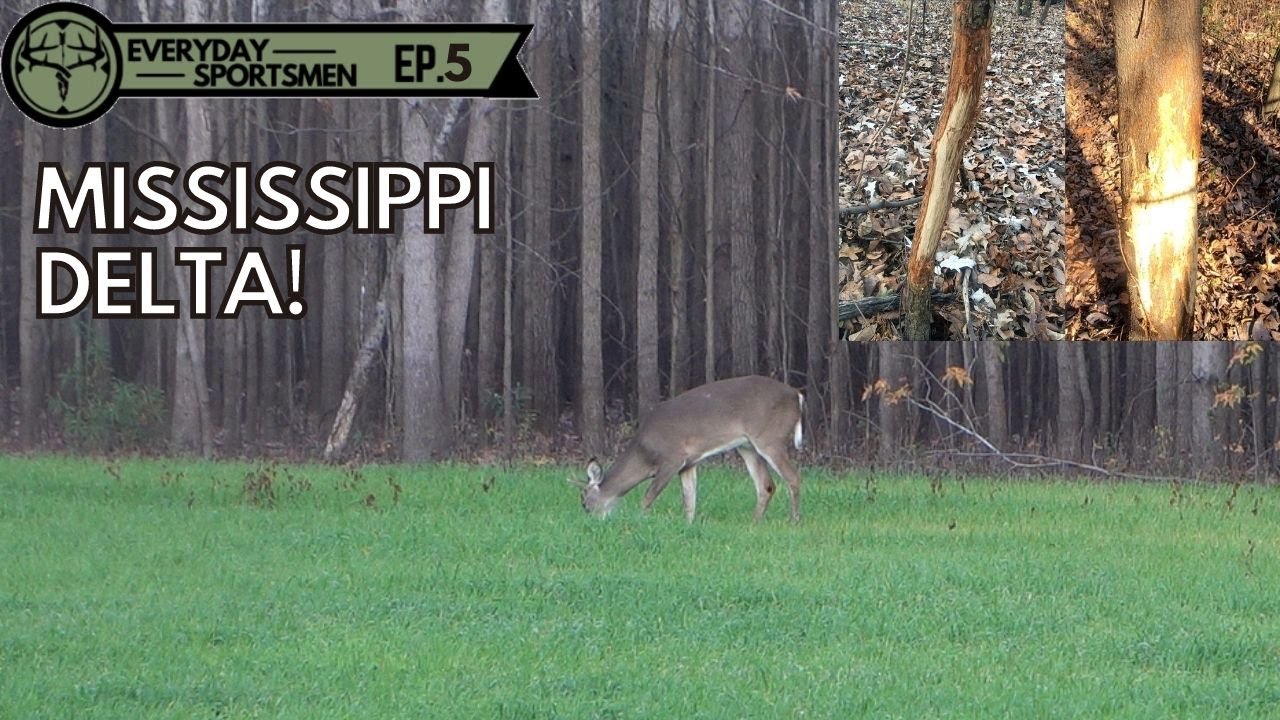 Mississippi DELTA deer hunt on public land!! - YouTube
