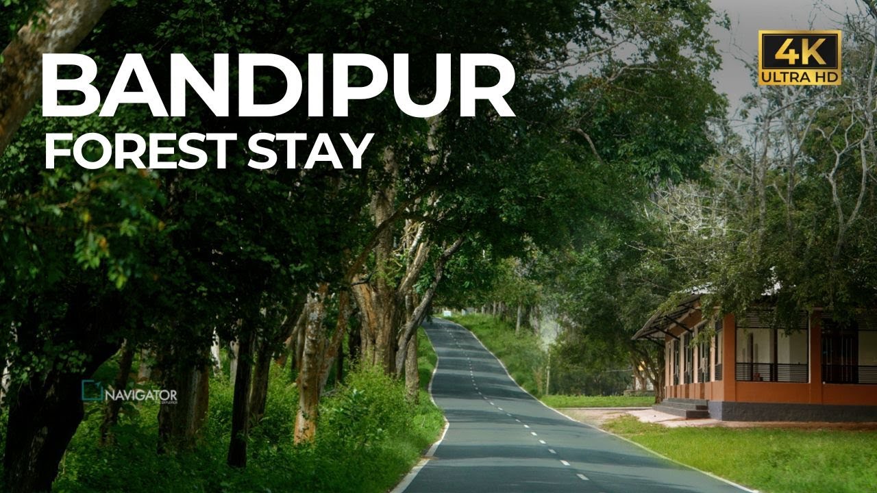 Bandipur Forest Stay | Episode 3 | Harini Cottage | Experience Real ...