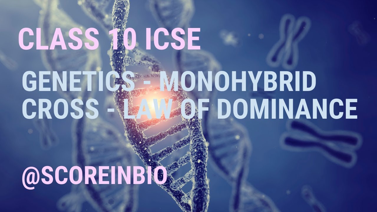 Genetics - Monohybrid Cross and the Law of Dominance Explained | ICSE ...