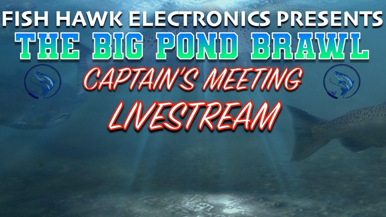 🔴 LIVE - The Big Pond Brawl Tournament - Captain's Meeting - YouTube