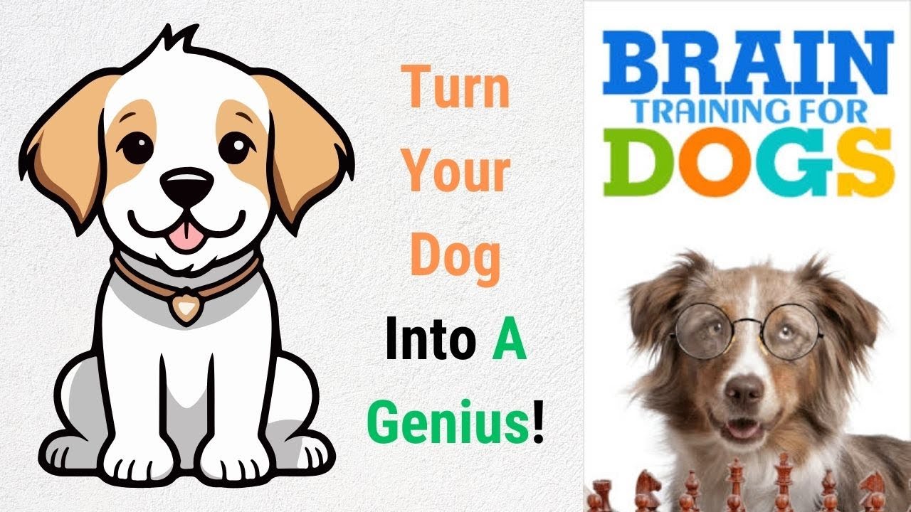 Brain Training for Dogs Review - Top Dog Trainer Reveals Brain Training ...