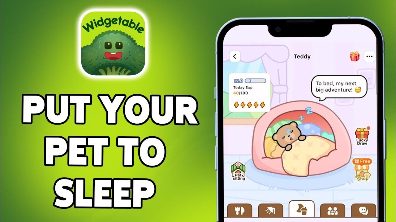 How To Put Your Pet To Sleep On Widgetable 2024 | Widgetable App Guide - YouTube