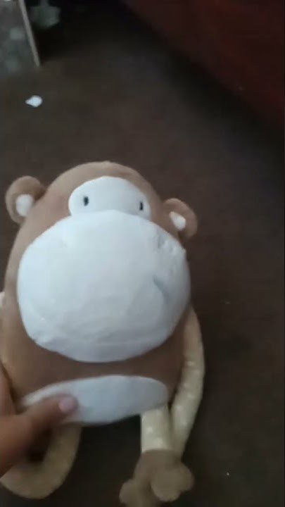 happy birthday to you nobody likes you you look like a monkey you ...