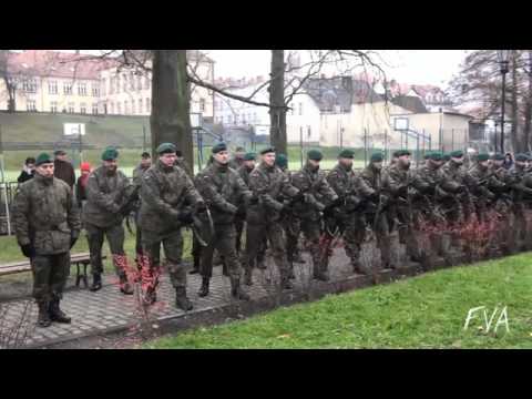YouTube FVA Army Salute Fail - YouTube