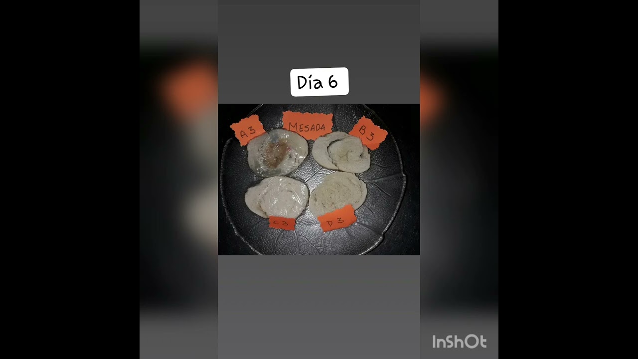 La descomposición del pan - YouTube