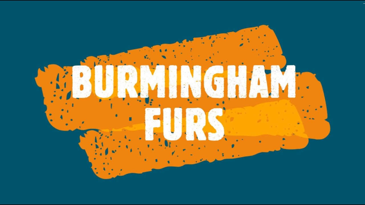 Birmingham Furry Meet February - YouTube
