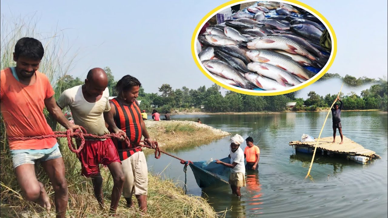 Rediscovering the Art of Primitive Fishing: Exploring Traditional ...