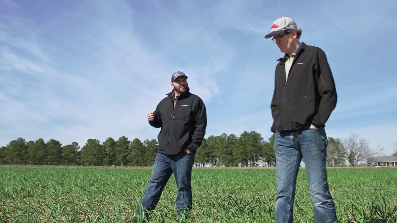 Peter Askew, VidaliaOnions.com & GoDaddy (w/ Aries Haygood) - YouTube