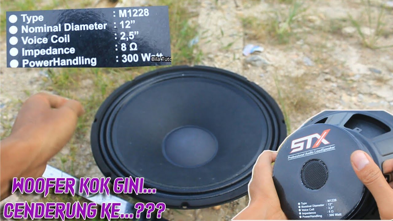 speker stx wover 12 inch - YouTube