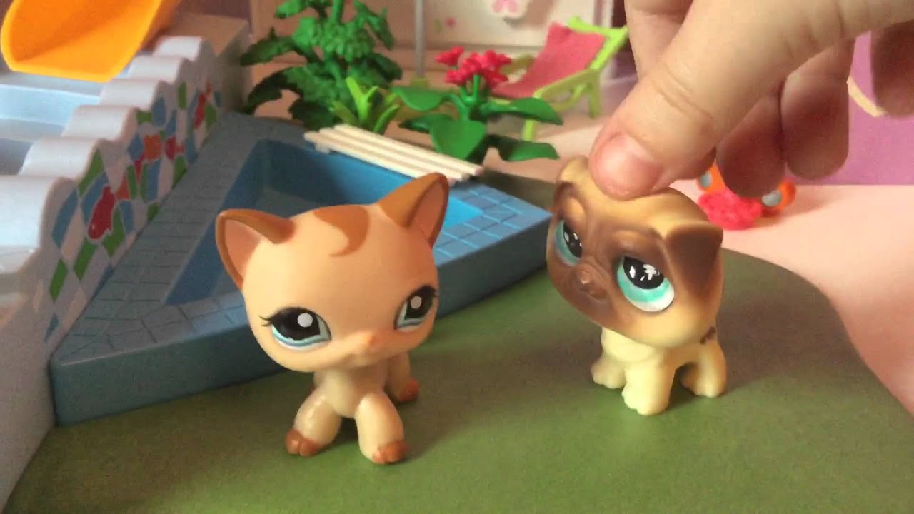 High school musical 2 pool scene - YouTube