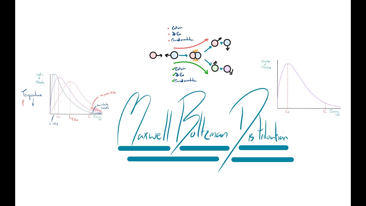 6.3 - Maxwell Boltzmann Distributions - What the graphs look like and ...