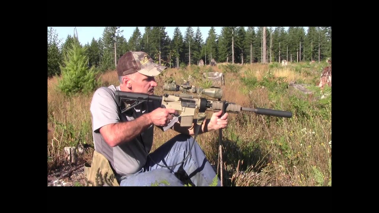 AR Dual Optic System - YouTube