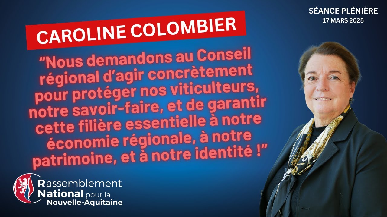 Motion RN Caroline Colombier - défense filière viticole - YouTube