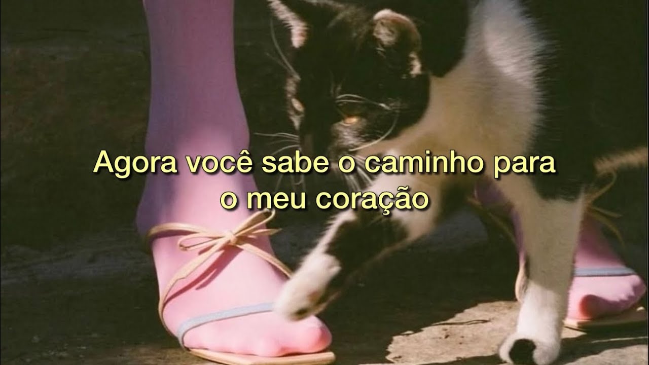 MARINA - HELLO KITTY (TRADUÇÃO) - YouTube
