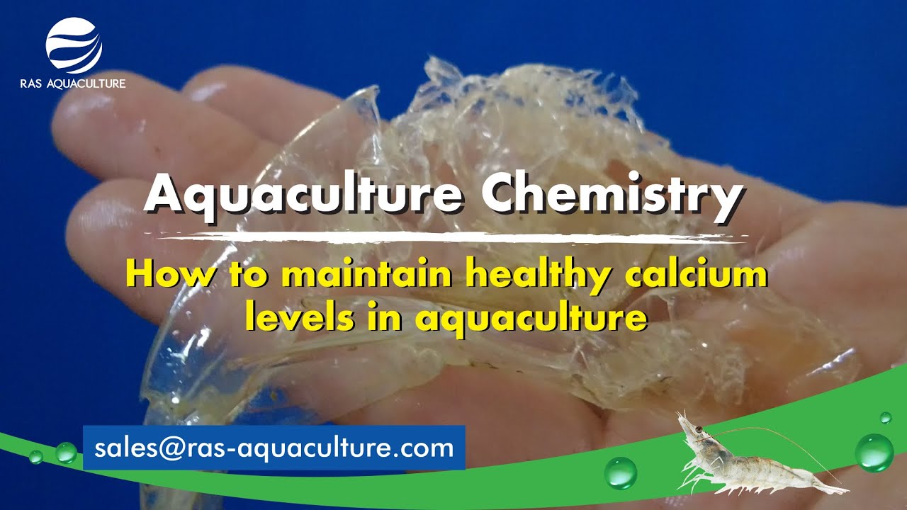 Aquaculture Chemistry Series | How to Maintain Healthy Calcium Levels ...