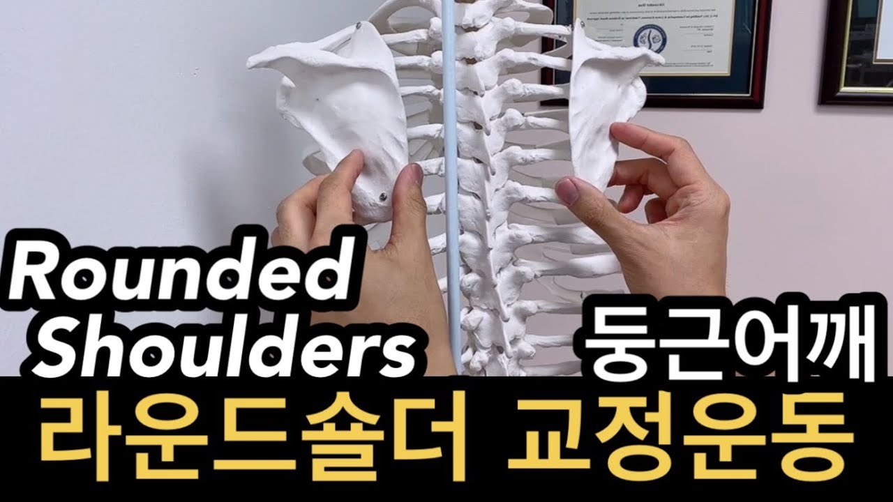 라운드숄더 교정운동 (Corrective Exercises for Rounded Shoulders) - YouTube
