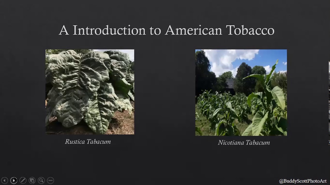 Tuesday Tobacco Talks - A Scientific Study of Sot-weed - YouTube