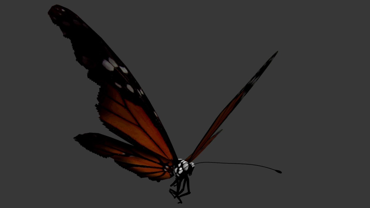 Butterfly Rigging - YouTube