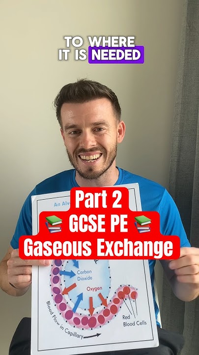 📚GCSE PE📚 🎬Part 2🎬Everything YOU need to know about gaseous exchange. # ...