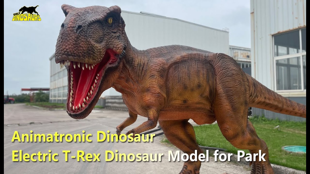 Electric T Rex Dinosaur Model for Park | Animatronic Dinosaur - YouTube