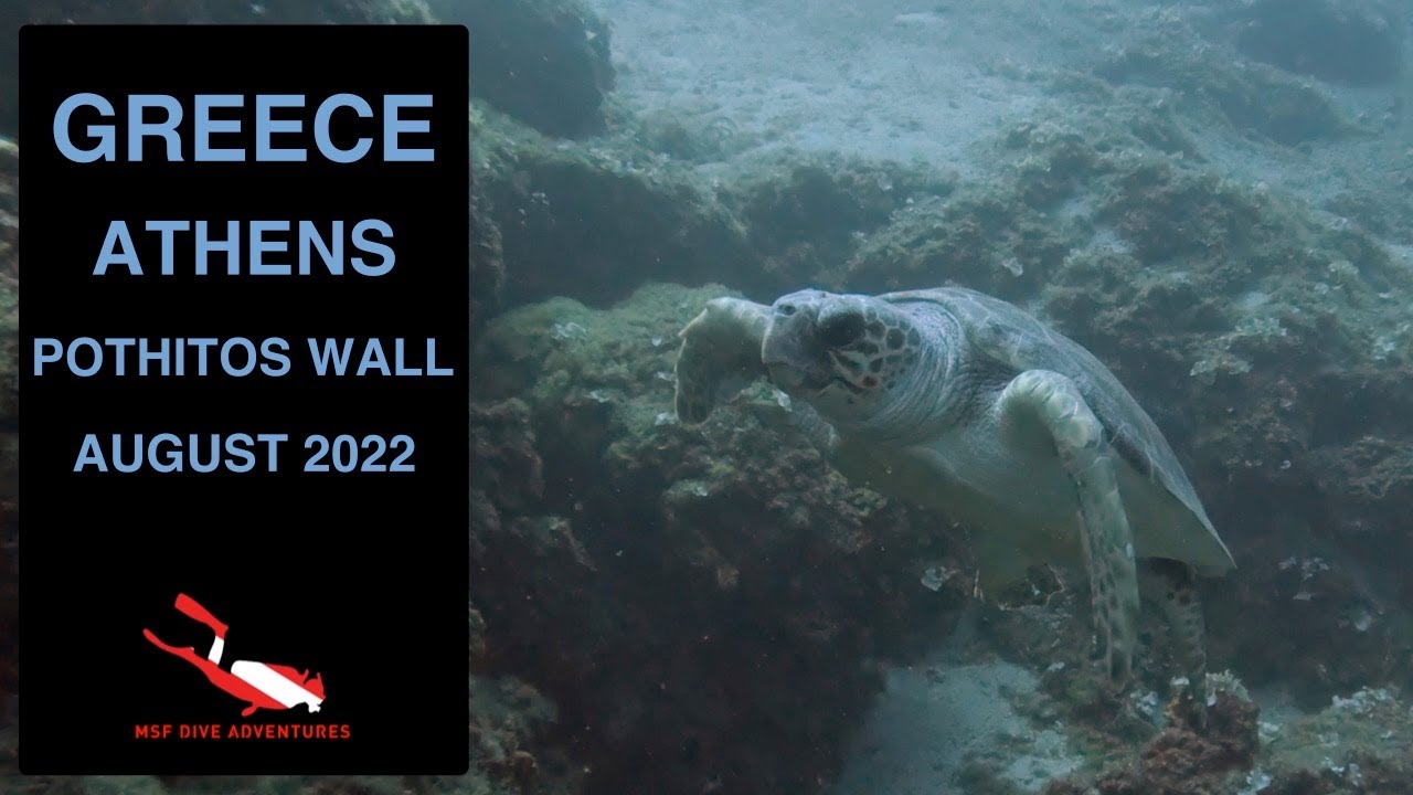GREECE, ATHENS - Pothitos Wall Dive - YouTube