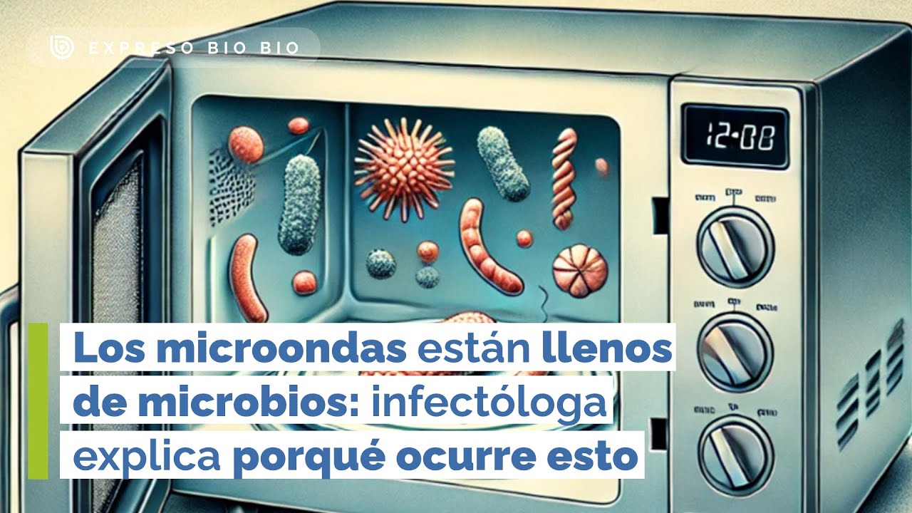 Los microondas están llenos de microbios: infectóloga explica porqué ...