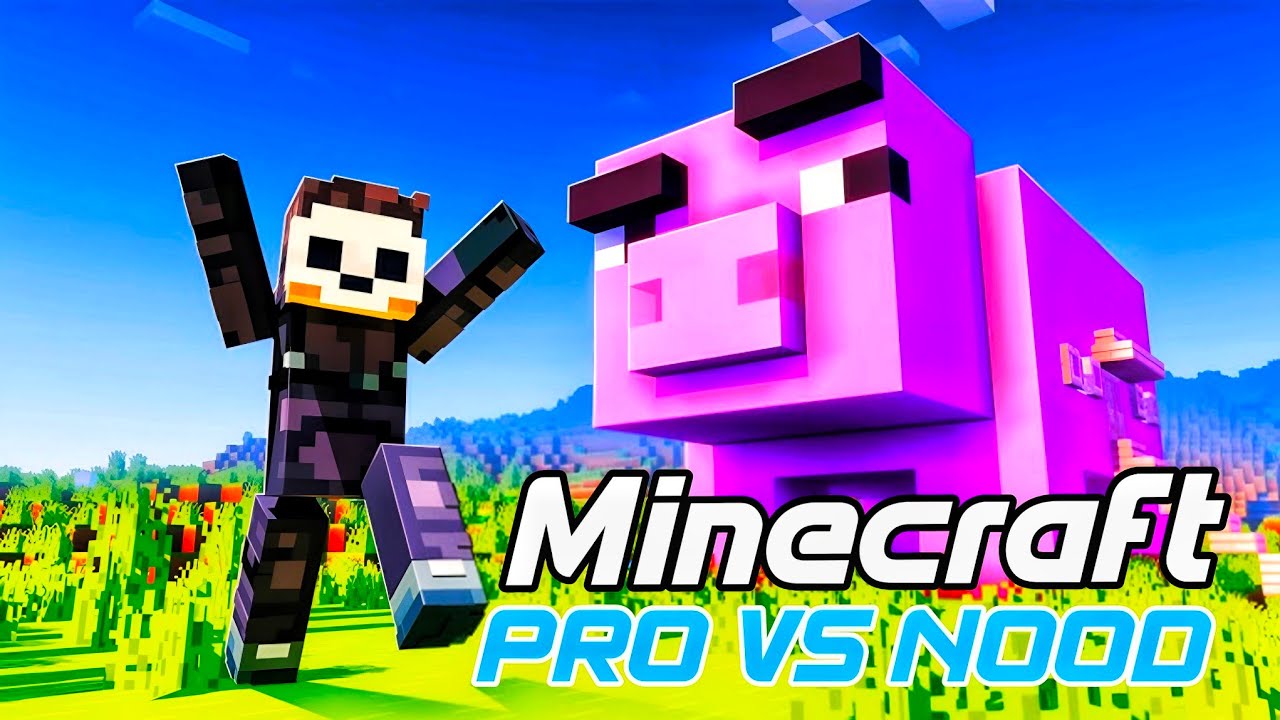 Minecraft PRO VS NOOB #minecraft #vgvish - YouTube