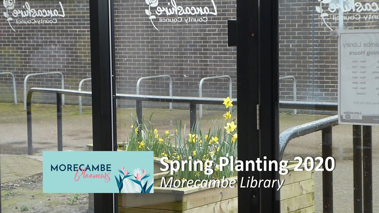 MORECAMBE BLOOMERS 2020 'The Library Spring Plant' with David, Yvonne ...