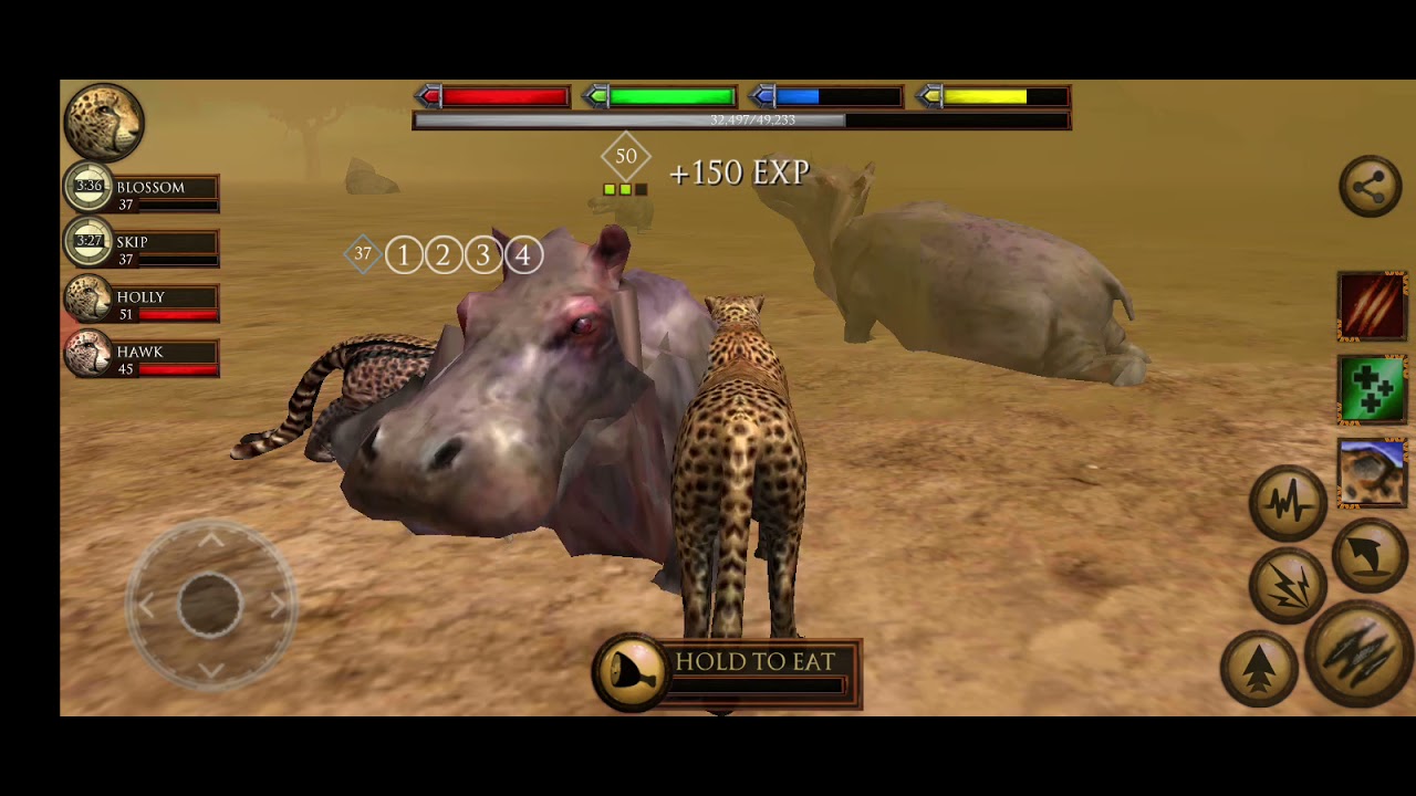 Cheetah Simulator. Ultimate Savanna Simulator Gameplay - YouTube