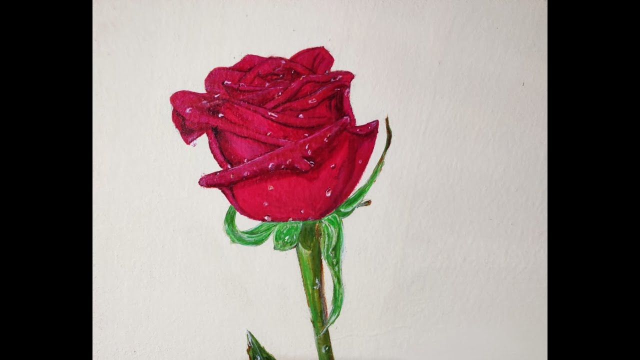 Simple Painting of Red Rose with due drop step by step acrylic colours ...