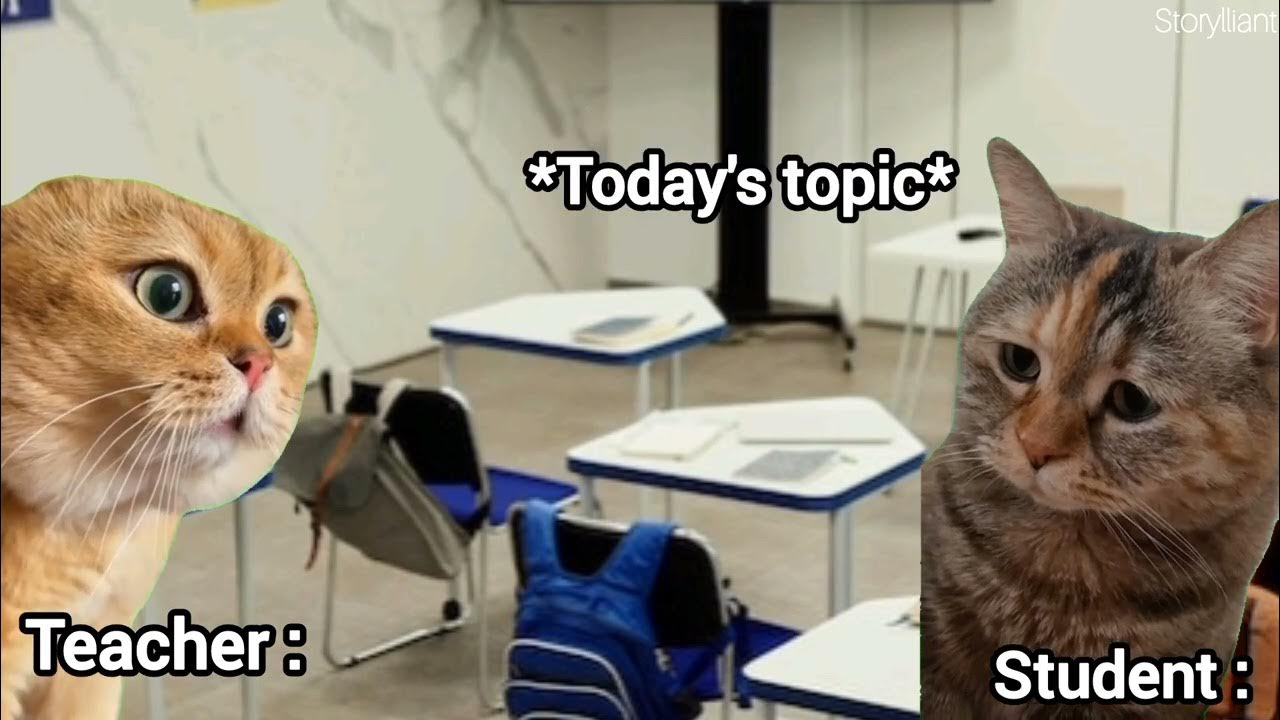 Teacher & Student Discussion | Cat Memes | Storylliant - YouTube