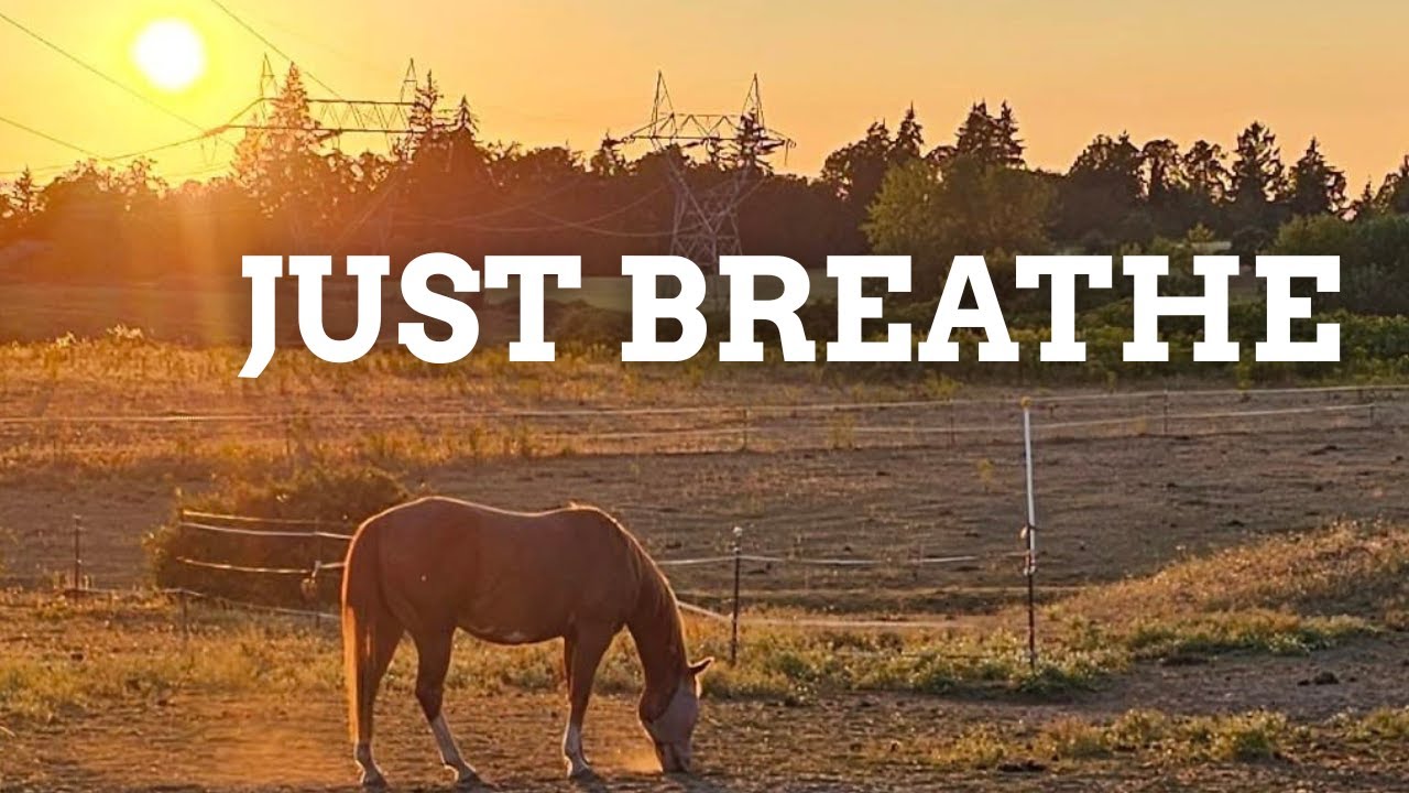 Just Breathe Exercise for Less Stress | Kellie Grill of Happy Success ...