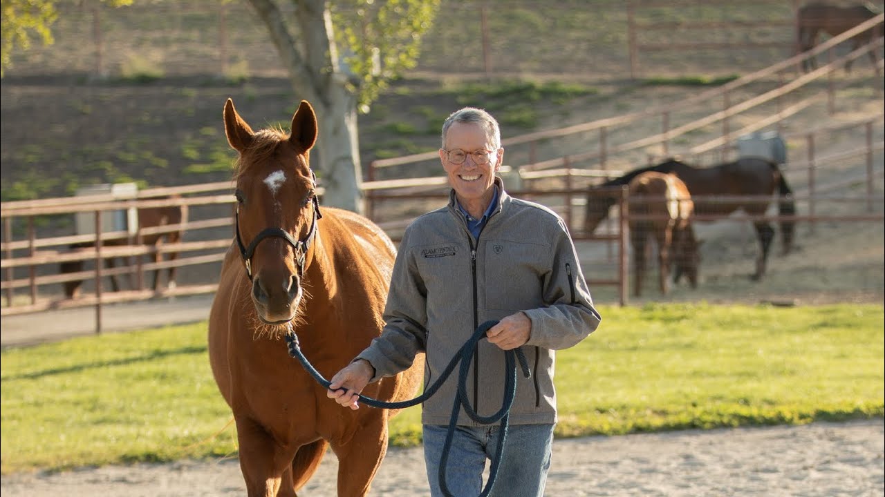 Horse Owner 101: Speaking From Experience: 43 Years in Equine ...