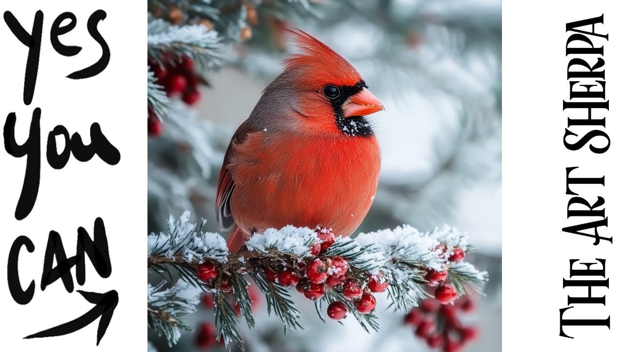 Red Cardinal in snowy pine with berries 🌟🎨 How to Draw and Paint ...