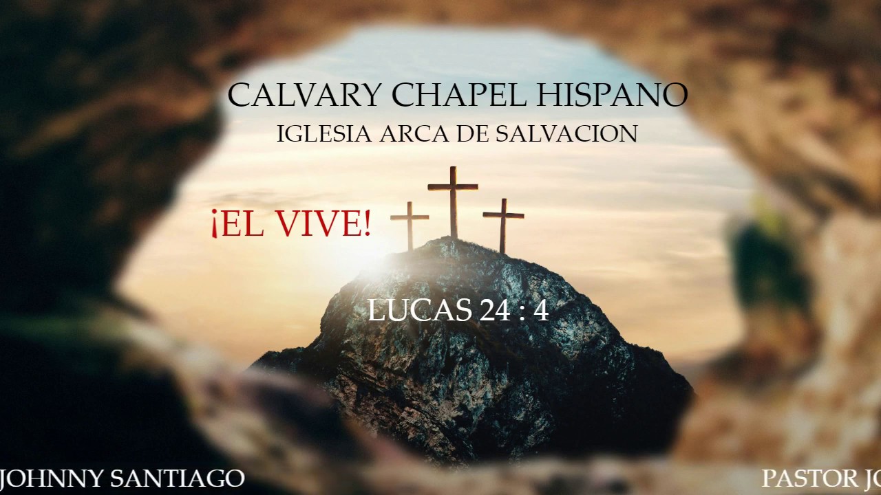 EL VIVE - YouTube